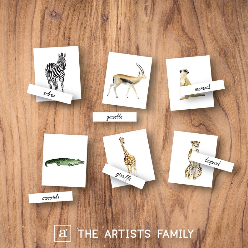 SAFARI ANIMALS Cards Watercolor Montessori Nomenclature Flash | Etsy