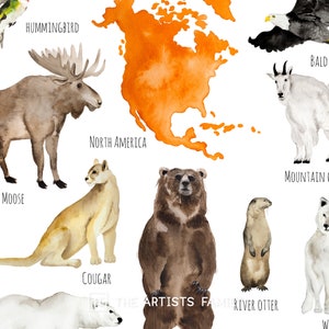 NORTH AMERICA Continent Animals Downloadable Prints Watercolor ...
