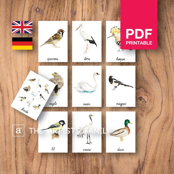 Bird Flash Cards - Etsy