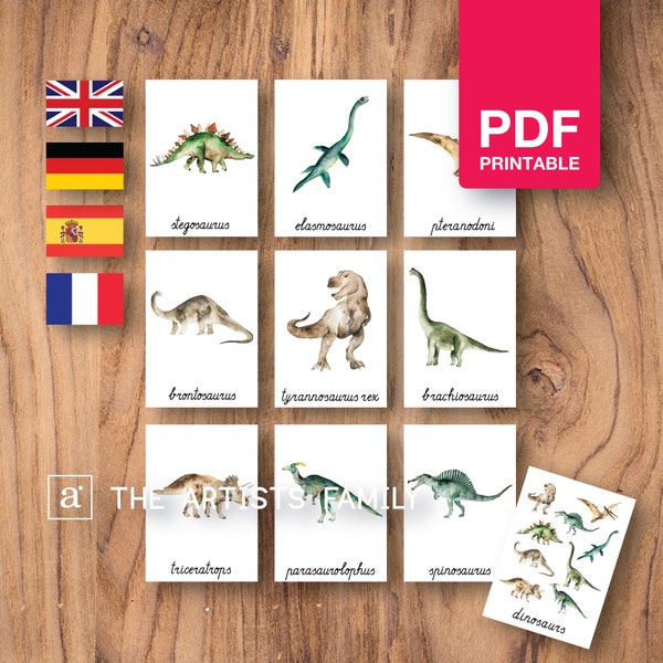 Montessori Dinosaur 3 Part Cards - Etsy Ireland