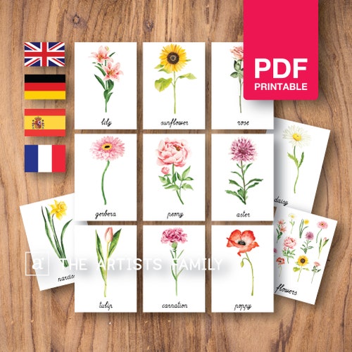 HOME APPLIANCES Card Material Montessori Nomenclature Flash 3 - Etsy