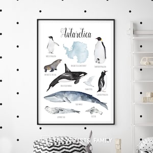 Antarctica Continent Animals Downloadable Prints Watercolor Montessori ...