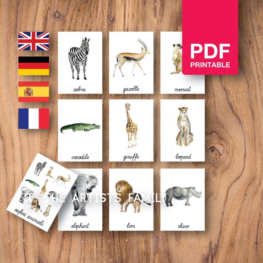 SAFARI ANIMALS Cards Watercolor Montessori Nomenclature Flash - Etsy UK