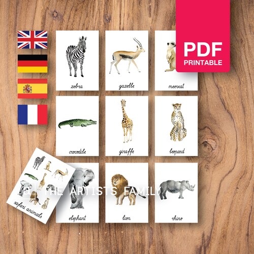 Transport Card Material Montessori Nomenclature Flash 3 Parts - Etsy UK