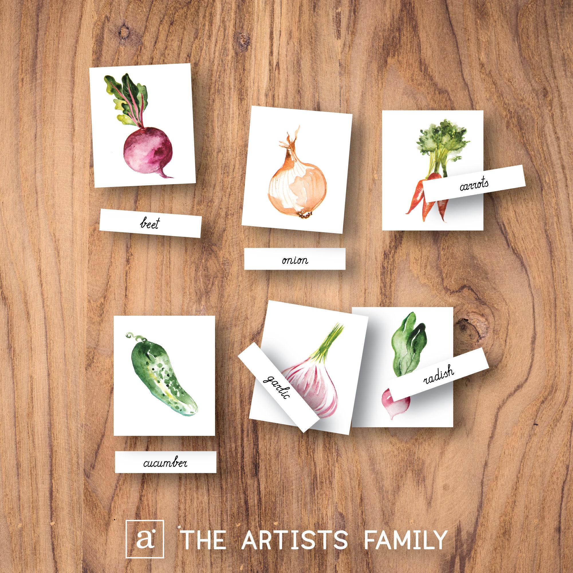 VEGETABLES Cards Watercolor Montessori Nomenclature Flash 3 | Etsy