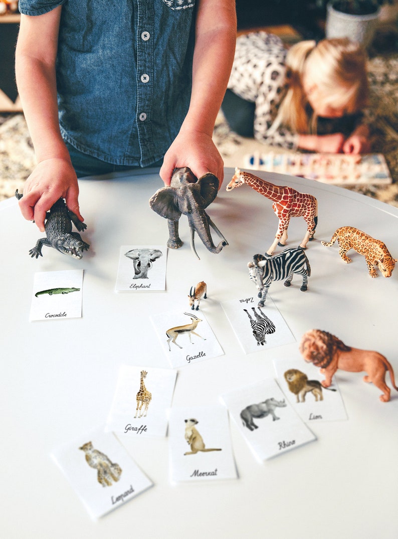 SAFARI ANIMALS Cards Watercolor Montessori Nomenclature Flash | Etsy