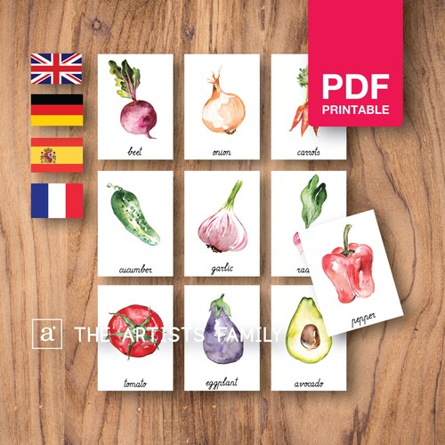 Transport Card Material Montessori Nomenclature Flash 3 Parts - Etsy UK