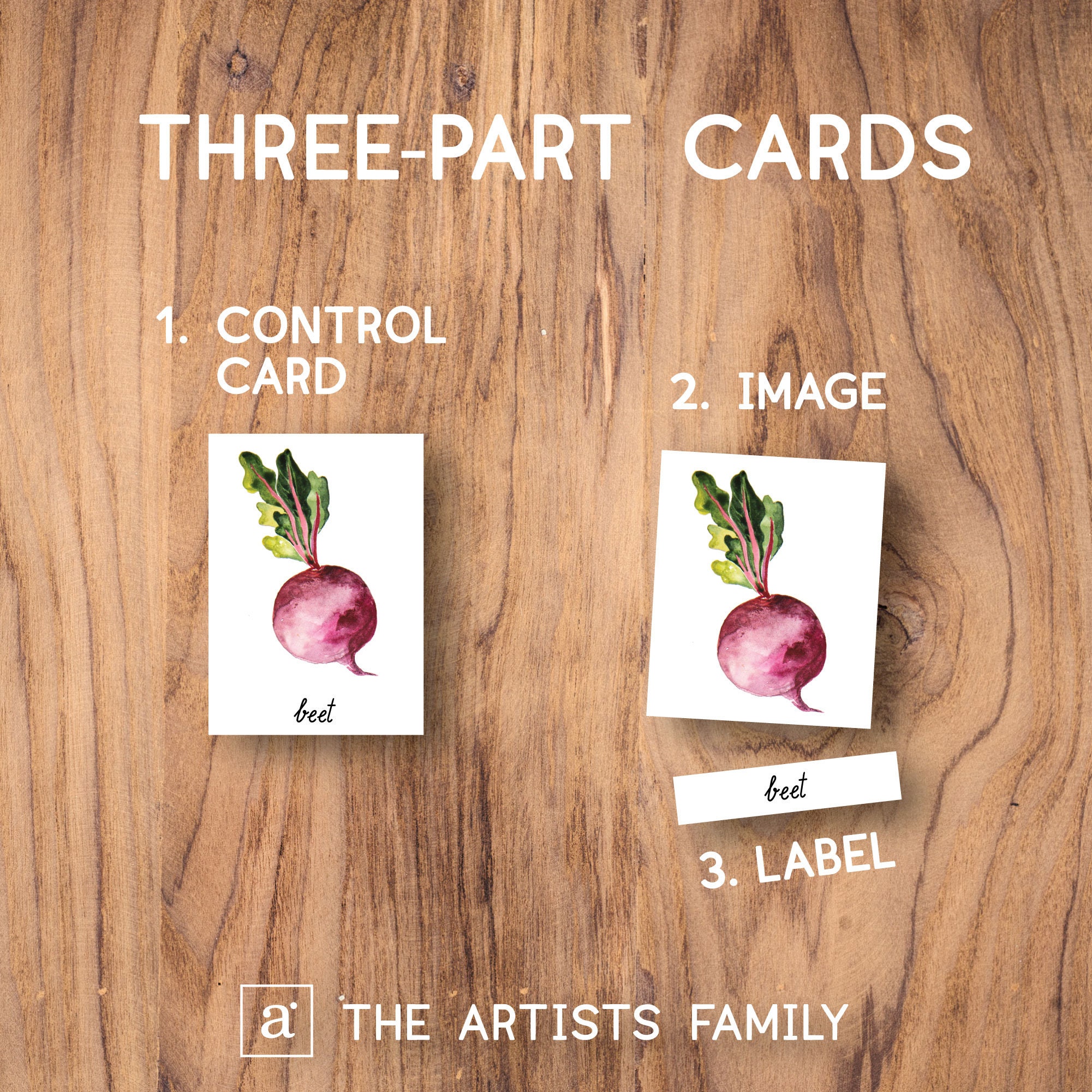 VEGETABLES Cards Watercolor Montessori Nomenclature Flash 3 | Etsy