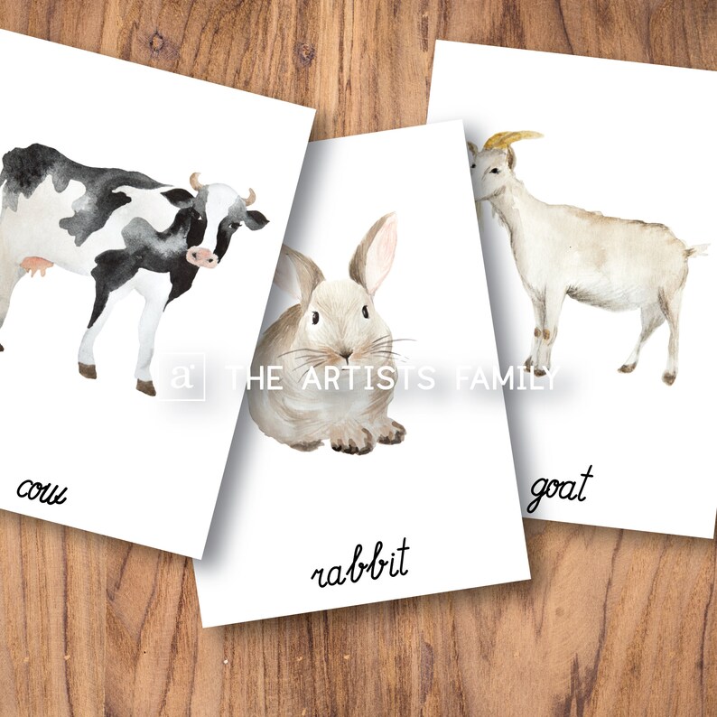 FARM ANIMALS Cards Watercolor Montessori Nomenclature Flash 3 - Etsy ...