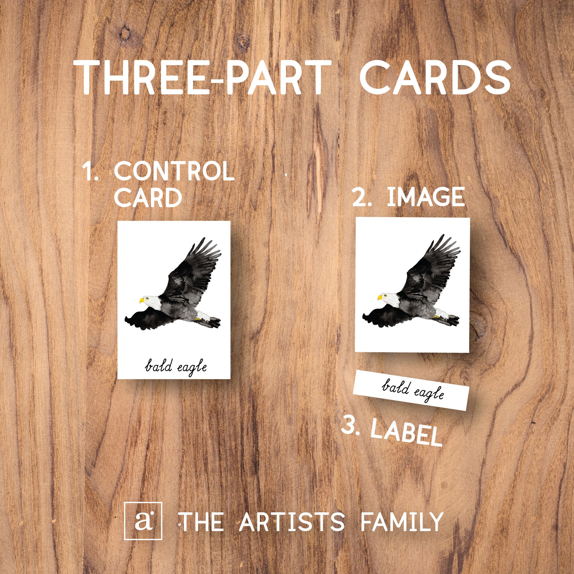 NORTH AMERICA Continent Card Material Montessori Nomenclature | Etsy