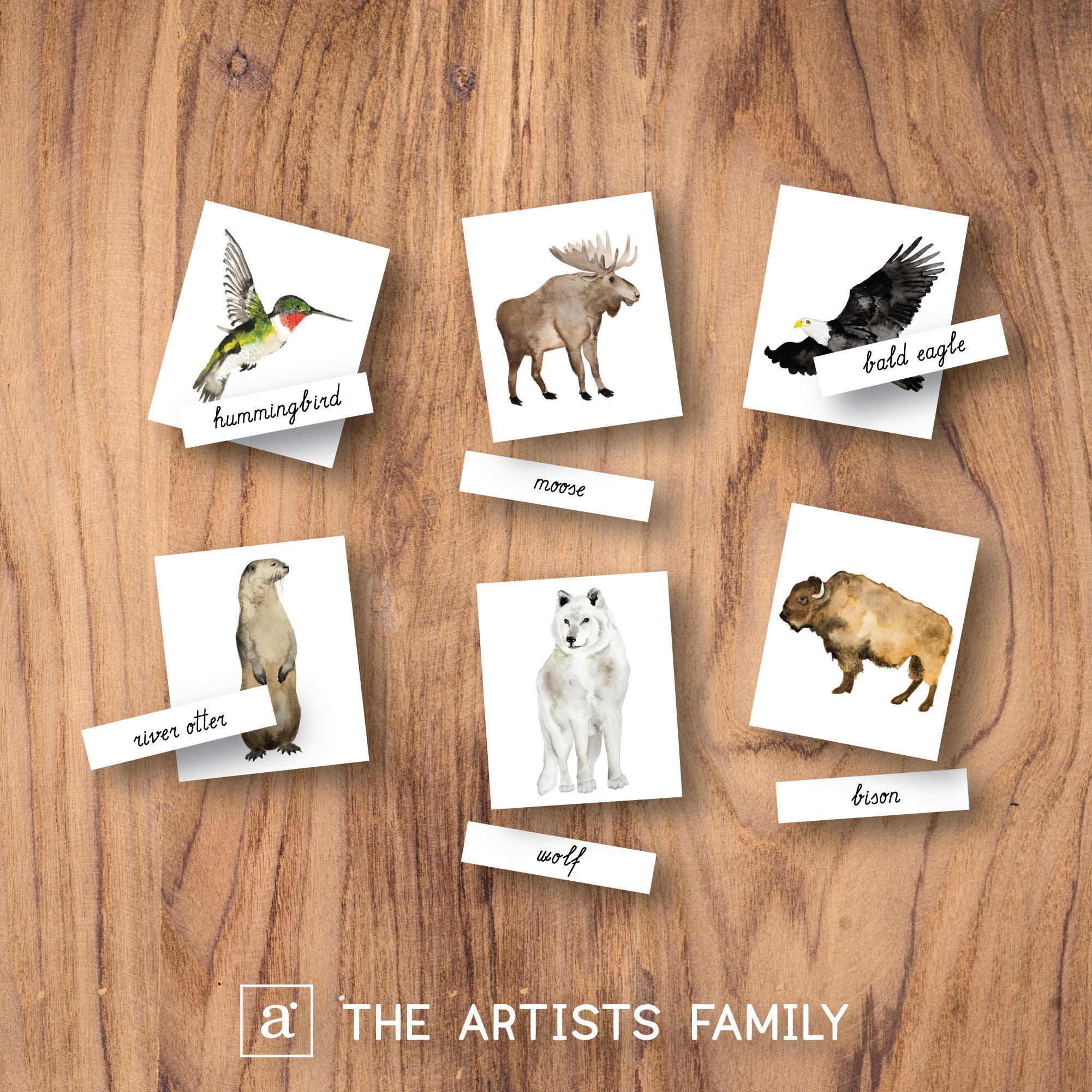 NORTH AMERICA Continent Card Material Montessori Nomenclature | Etsy