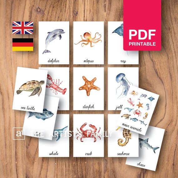OCEAN ANIMALS Card Material Montessori Nomenclature Flash 3 | Etsy
