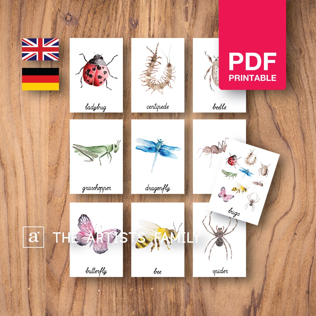 BUGS Insects Card Material Montessori Nomenclature Flash 3 - Etsy UK