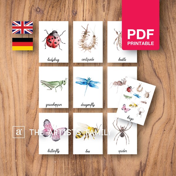 Watercolor Insects - Etsy