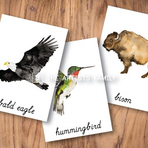 NORTH AMERICA Continent Card Material Montessori Nomenclature Flash 3 ...