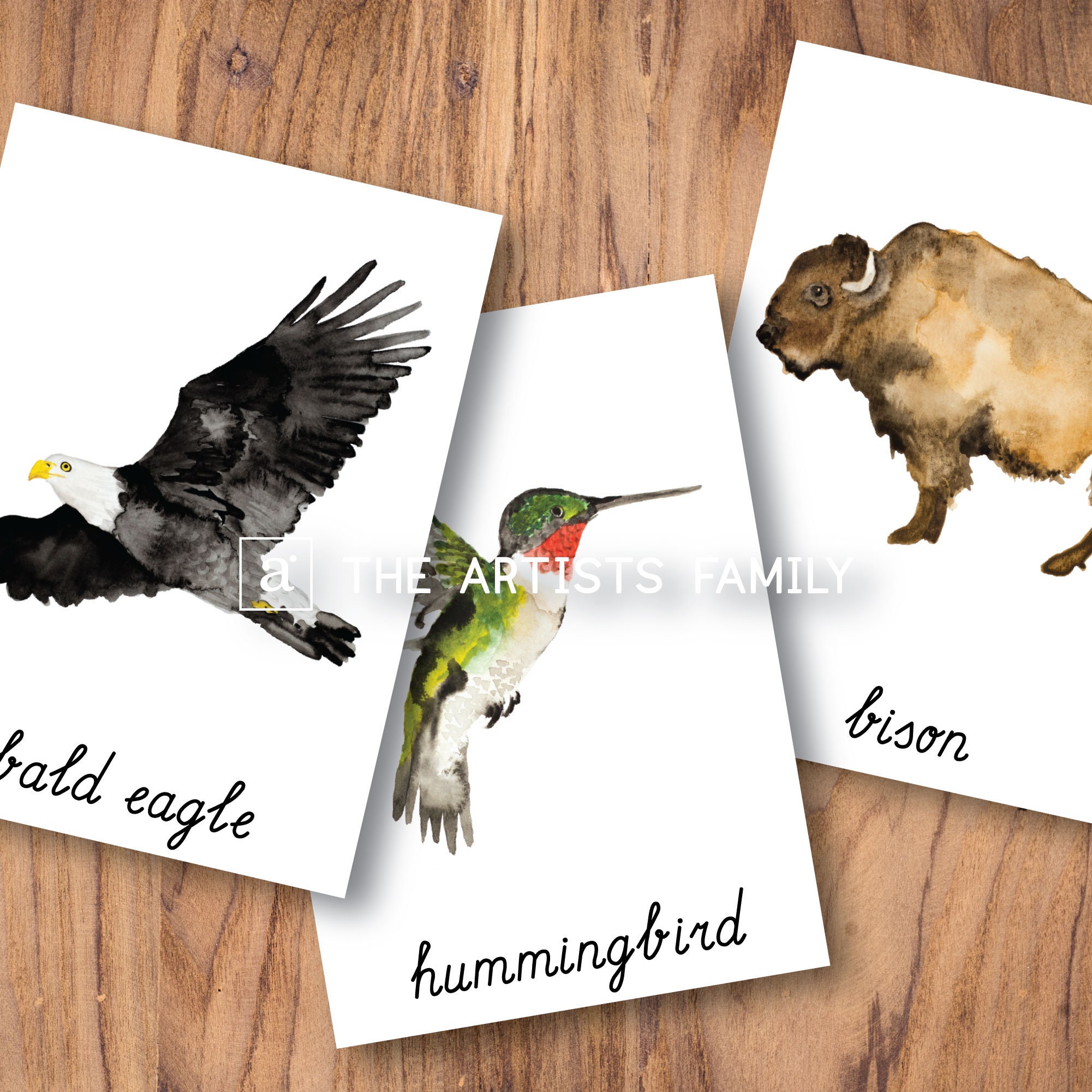 NORTH AMERICA Continent Card Material Montessori Nomenclature | Etsy