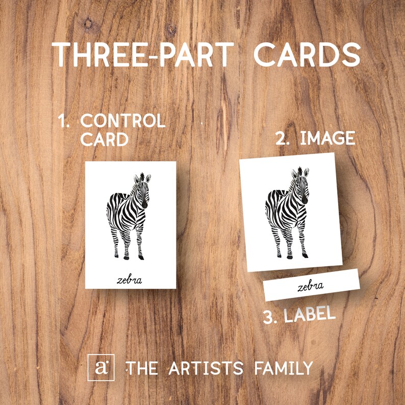 SAFARI ANIMALS Cards Watercolor Montessori Nomenclature Flash | Etsy