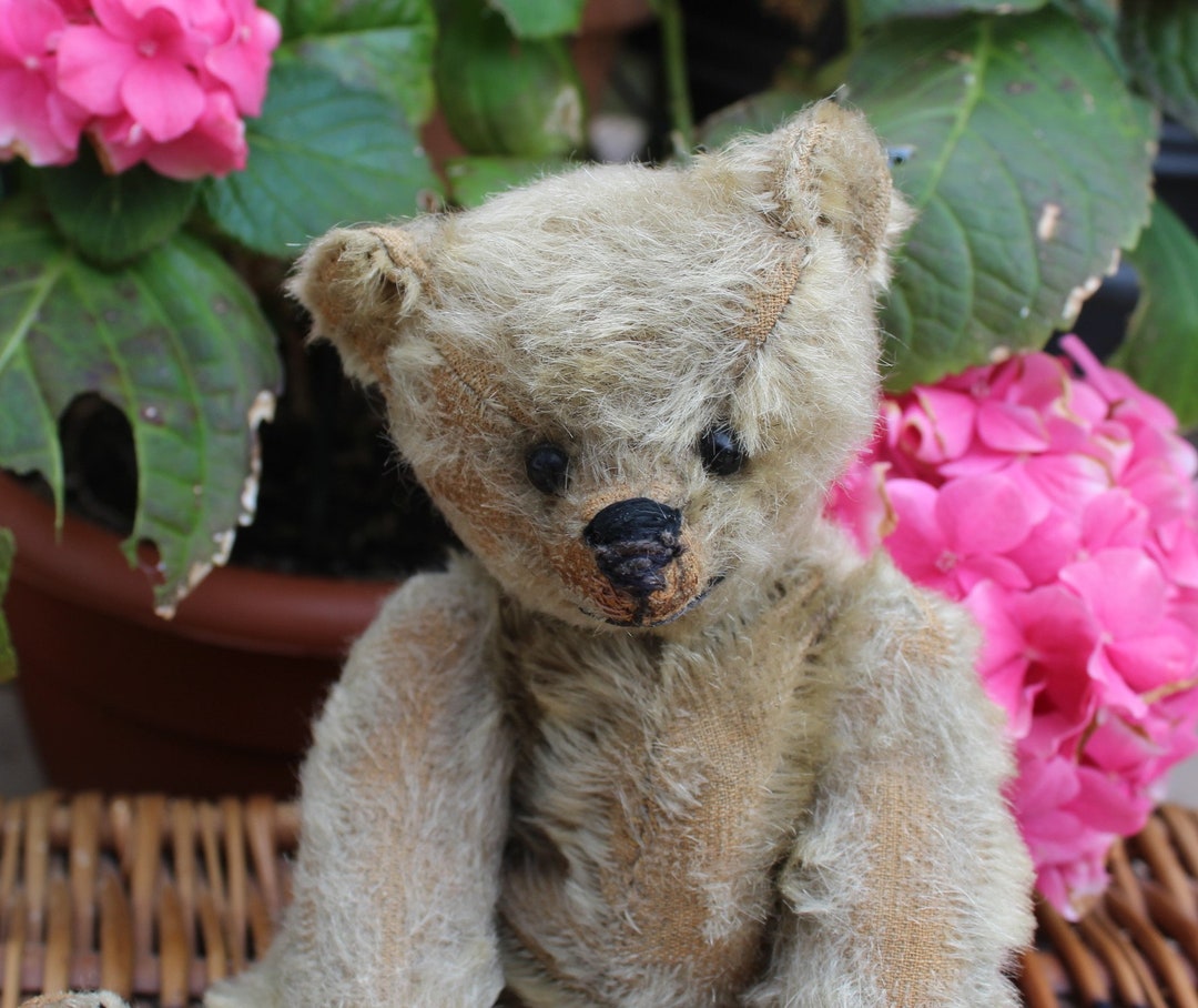 Darling Antique Bing Teddy Bear C1909 - Etsy UK
