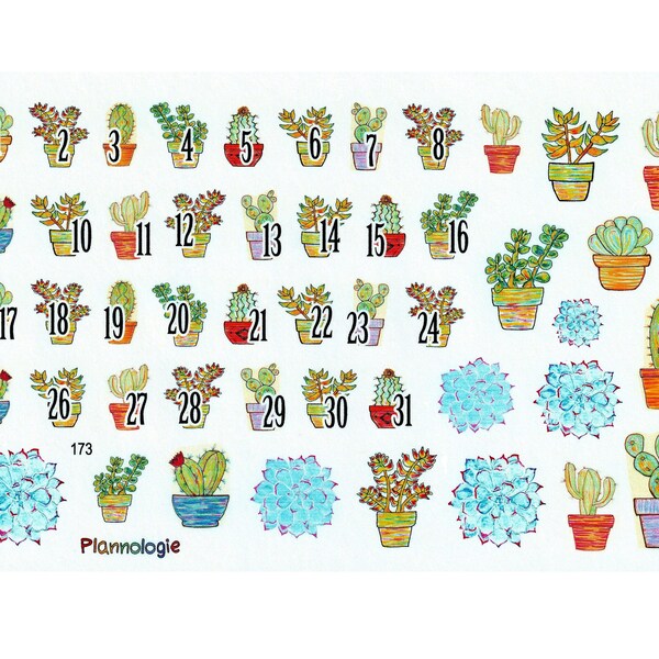 Cactus Planner Cover - Etsy