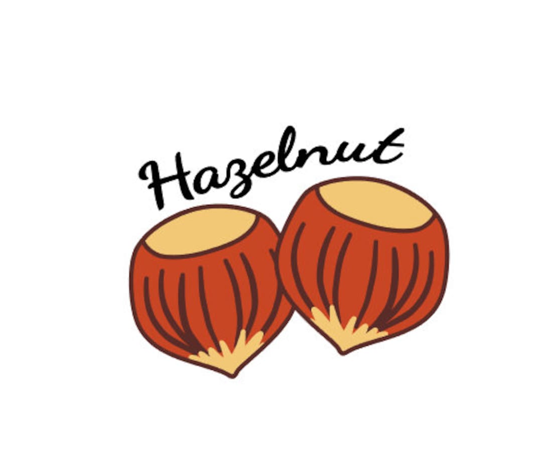 Mini Hazelnut Icon Stickers - Etsy
