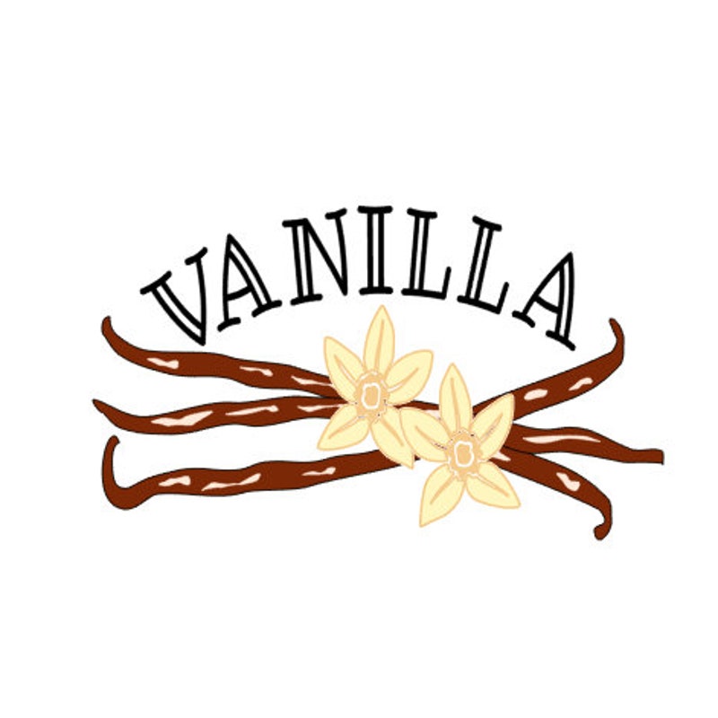 Vanilla Labels - Etsy