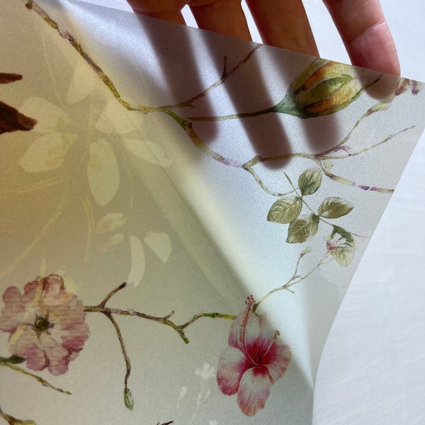 Window Decals for Privacy - Etsy