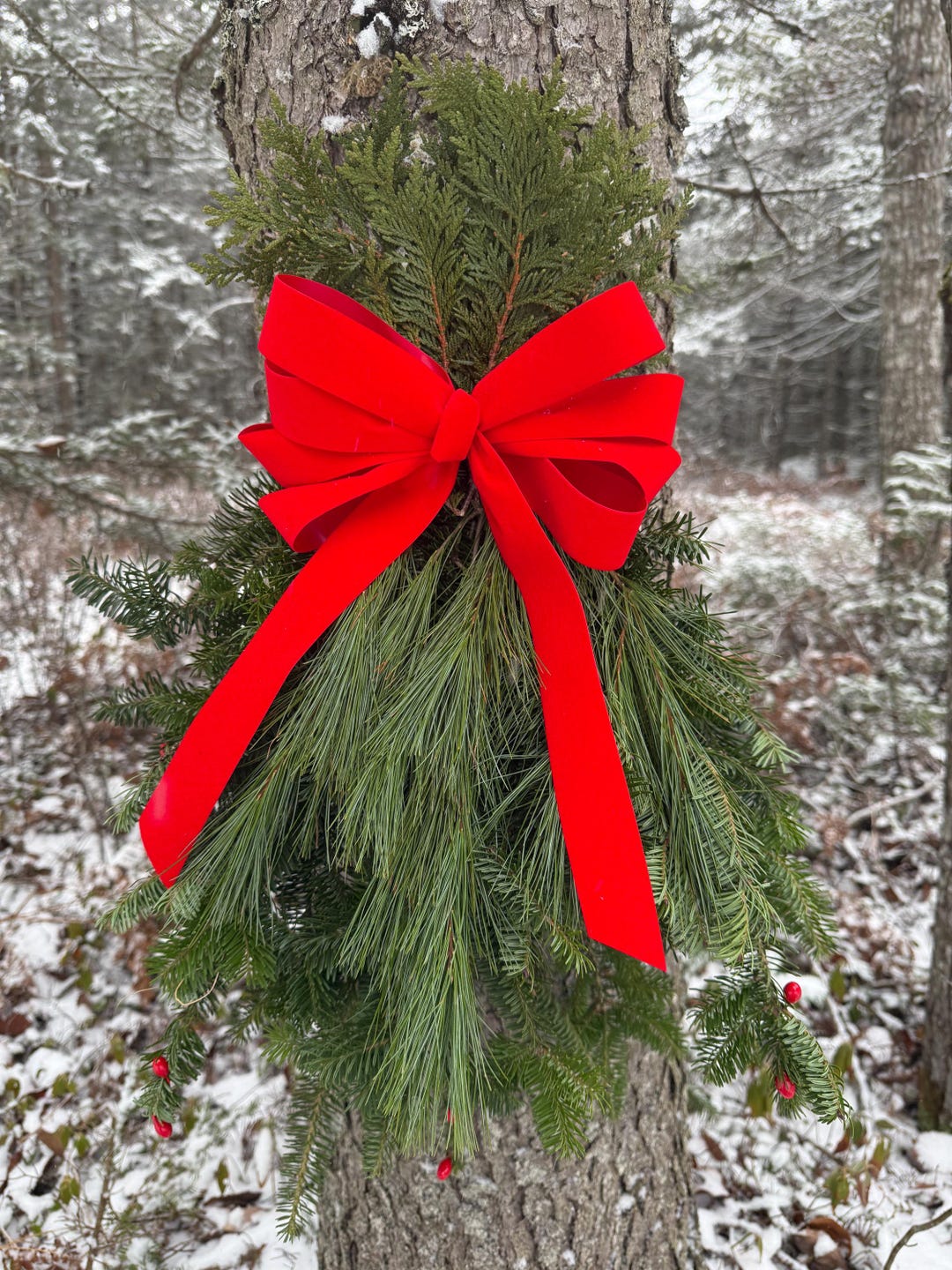 Fresh Evergreen Mix 18” Balsam Fir Spray. Let Us Know When You Would ...