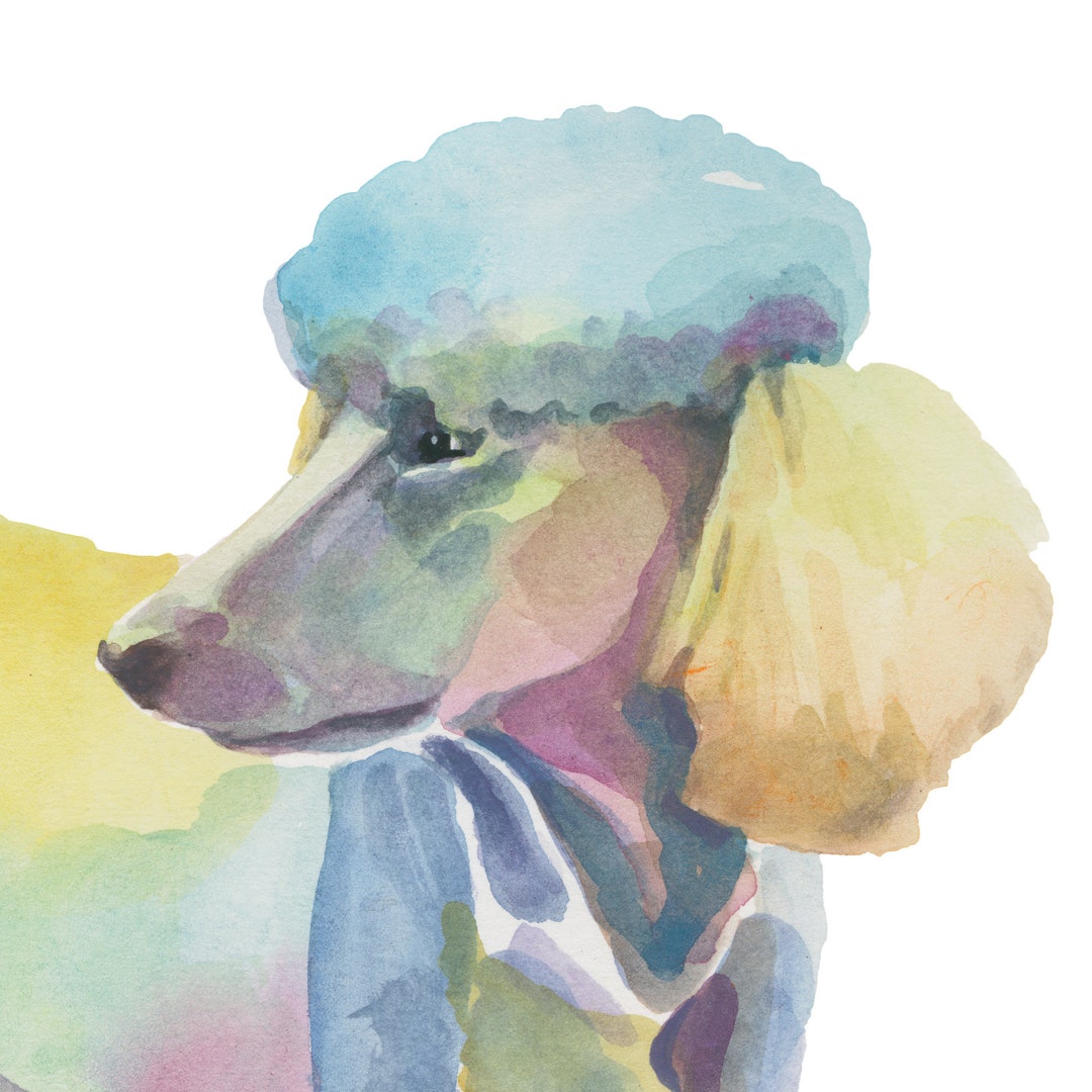 Standard Poodle Fine Art Print of Original Watercolor Painting. Limited ...