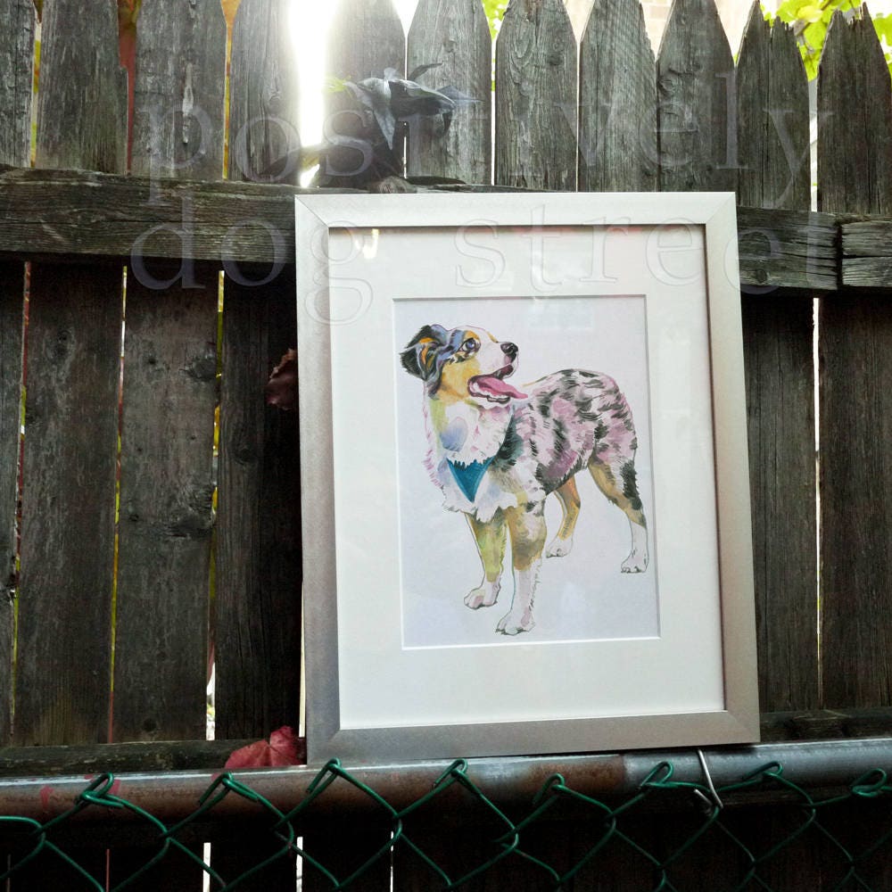 Toy Australian Shepherd Fine Art Print of Original Watercolor - Etsy