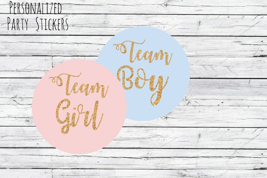Team Pink Team Blue Gender Reveal Baby Party Stickers, Pink and Blue ...