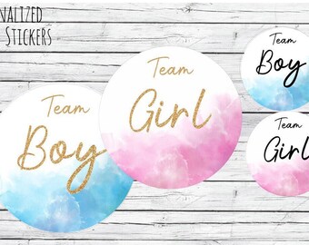 Team Pink Team Blue Gender Reveal Baby Party Stickers Pink - Etsy