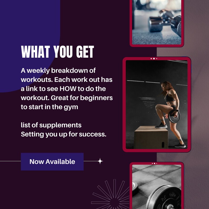 Full Body Workout Split Guide for Beginners - Etsy