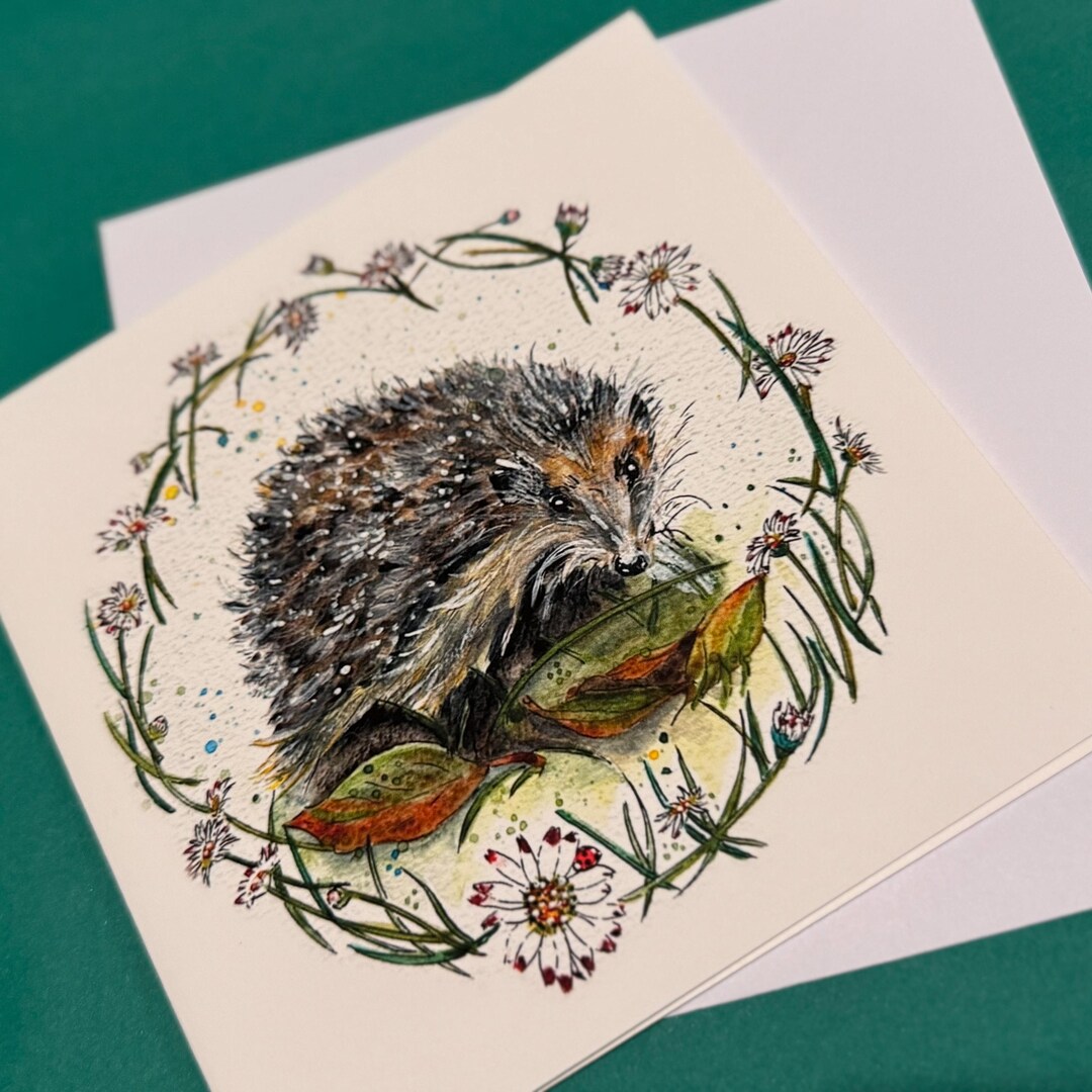 Hedgehog Greeting Card - Etsy