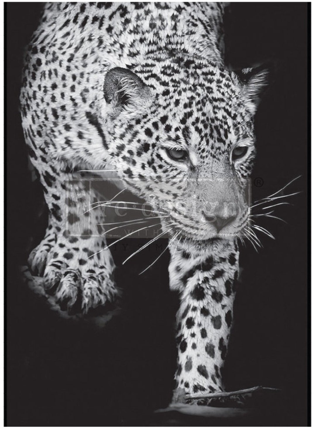 FELINE GAZE A1 DECOUPAGE Fiber Paper Redesign With Prima, Fast Shipping ...