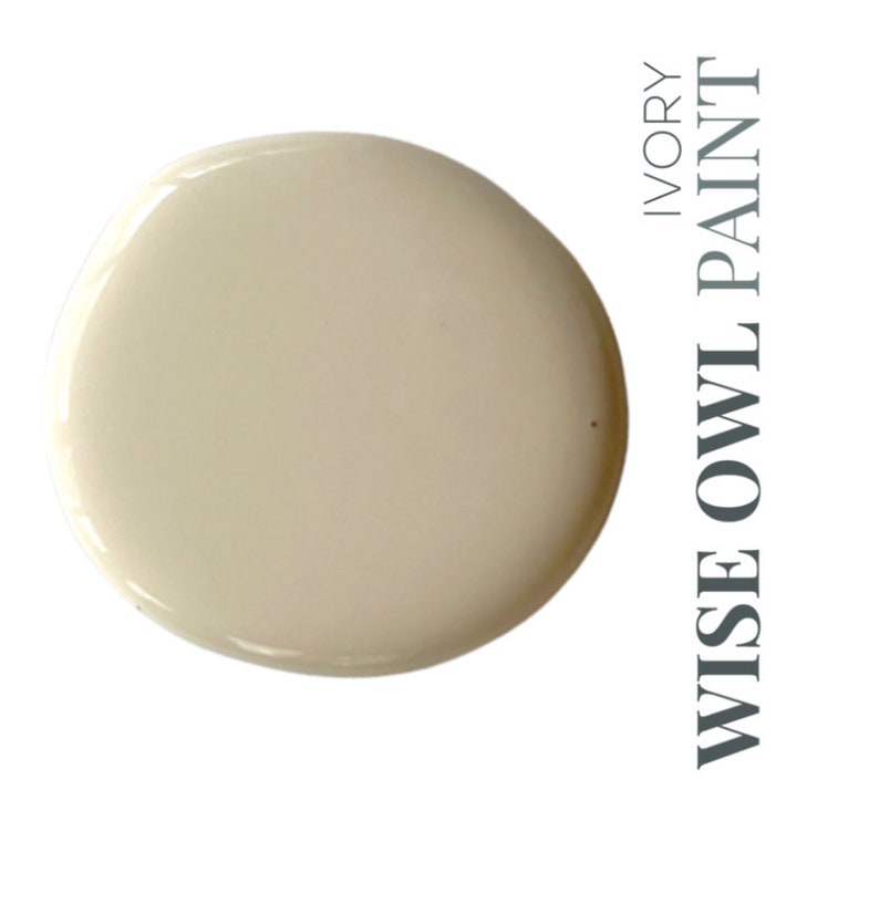 CHALK SYNTHESIS PAINT, Wise Owl Paint, Fast Free Shipping - Etsy