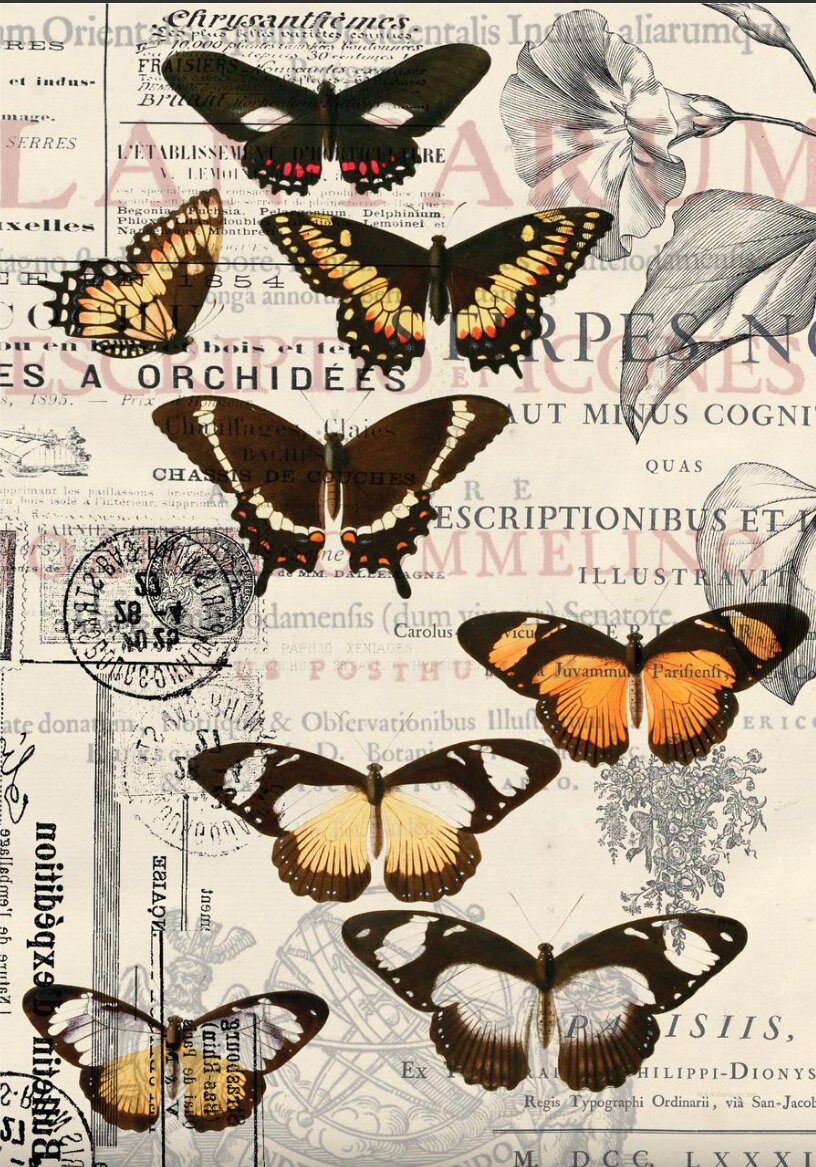 VINTAGE BUTTERFLIES TISSUE Decoupage Paper Dixie Belle Paint, Fast ...
