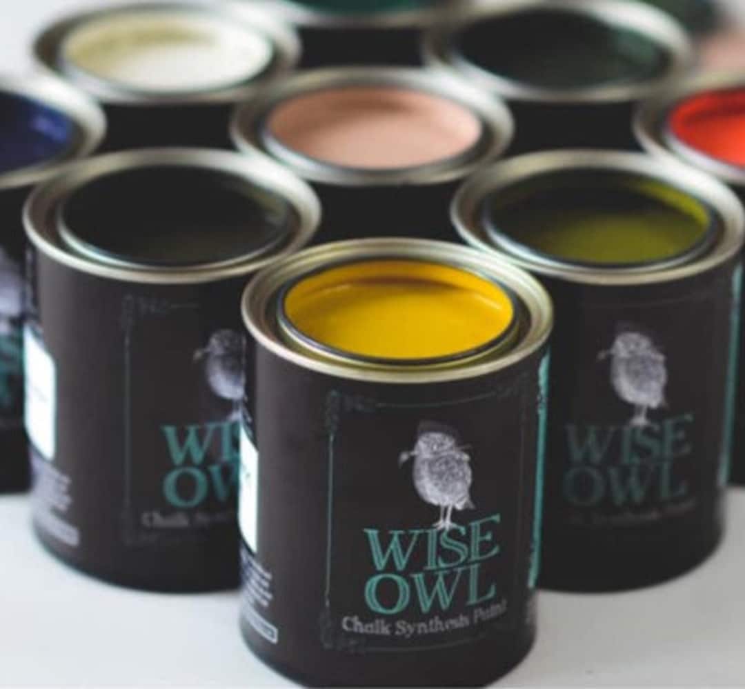 CHALK SYNTHESIS PAINT, Wise Owl Paint, Fast Free Shipping - Etsy