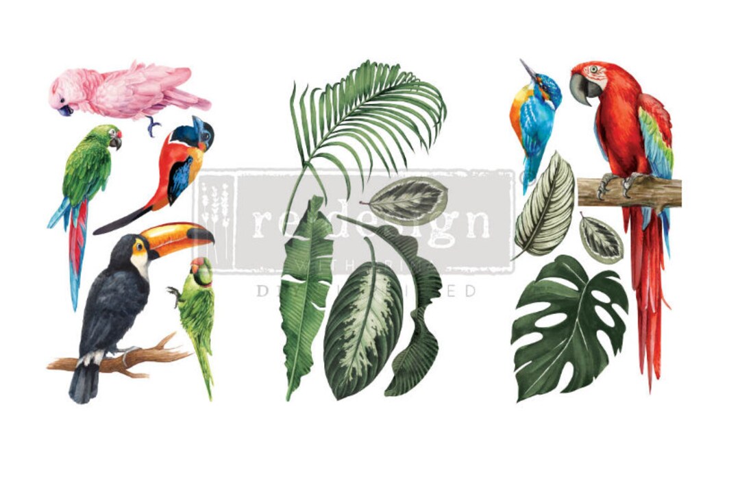 TROPICAL BIRDS Small Rub on Decor Transfer by Redesign With Prima, Fast ...