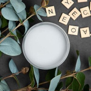Dixie Belle Paint MANATEE GRAY Chalk Mineral Paint - Etsy