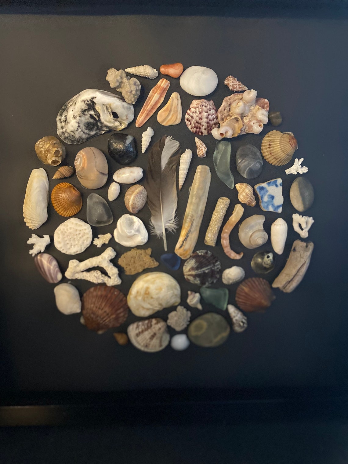 Shell Picture, Rock Pool Art - Etsy
