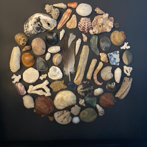 Shell Picture, Rock Pool Art - Etsy