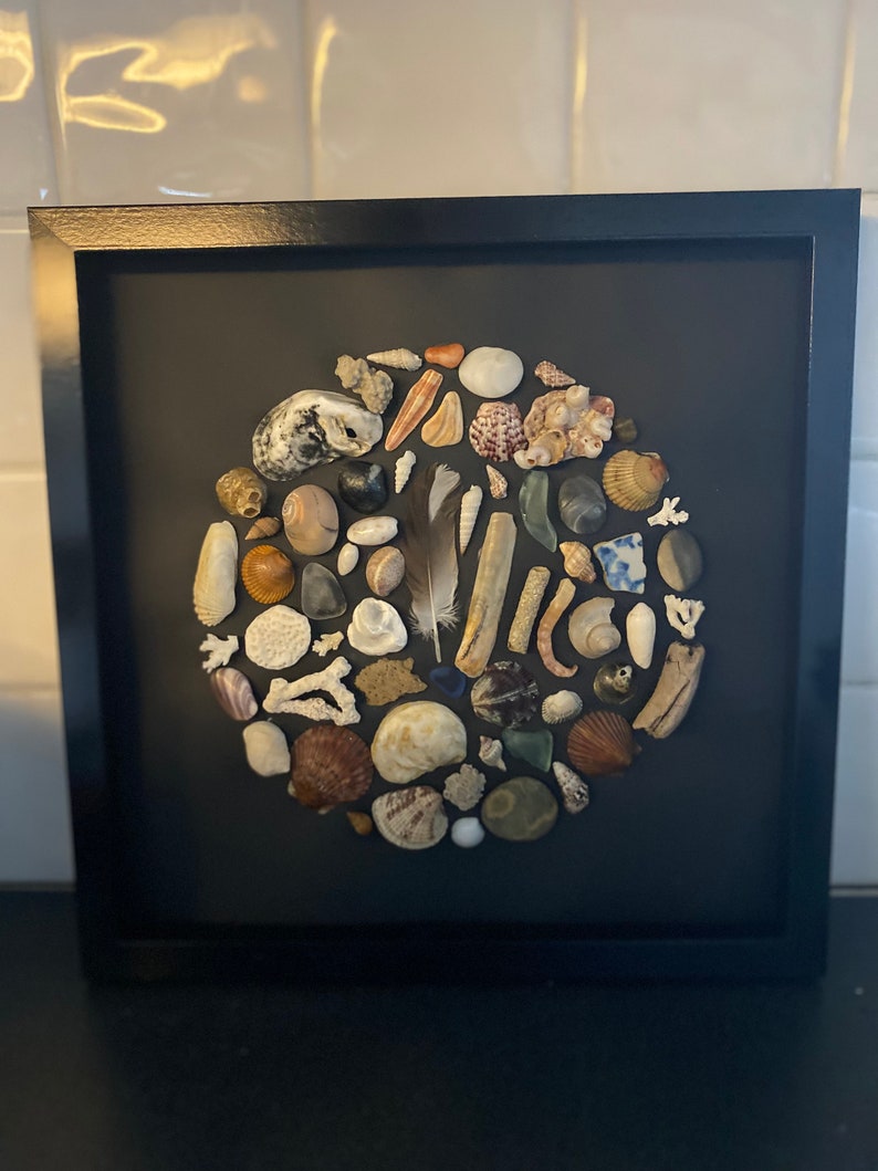 Shell Picture, Rock Pool Art - Etsy