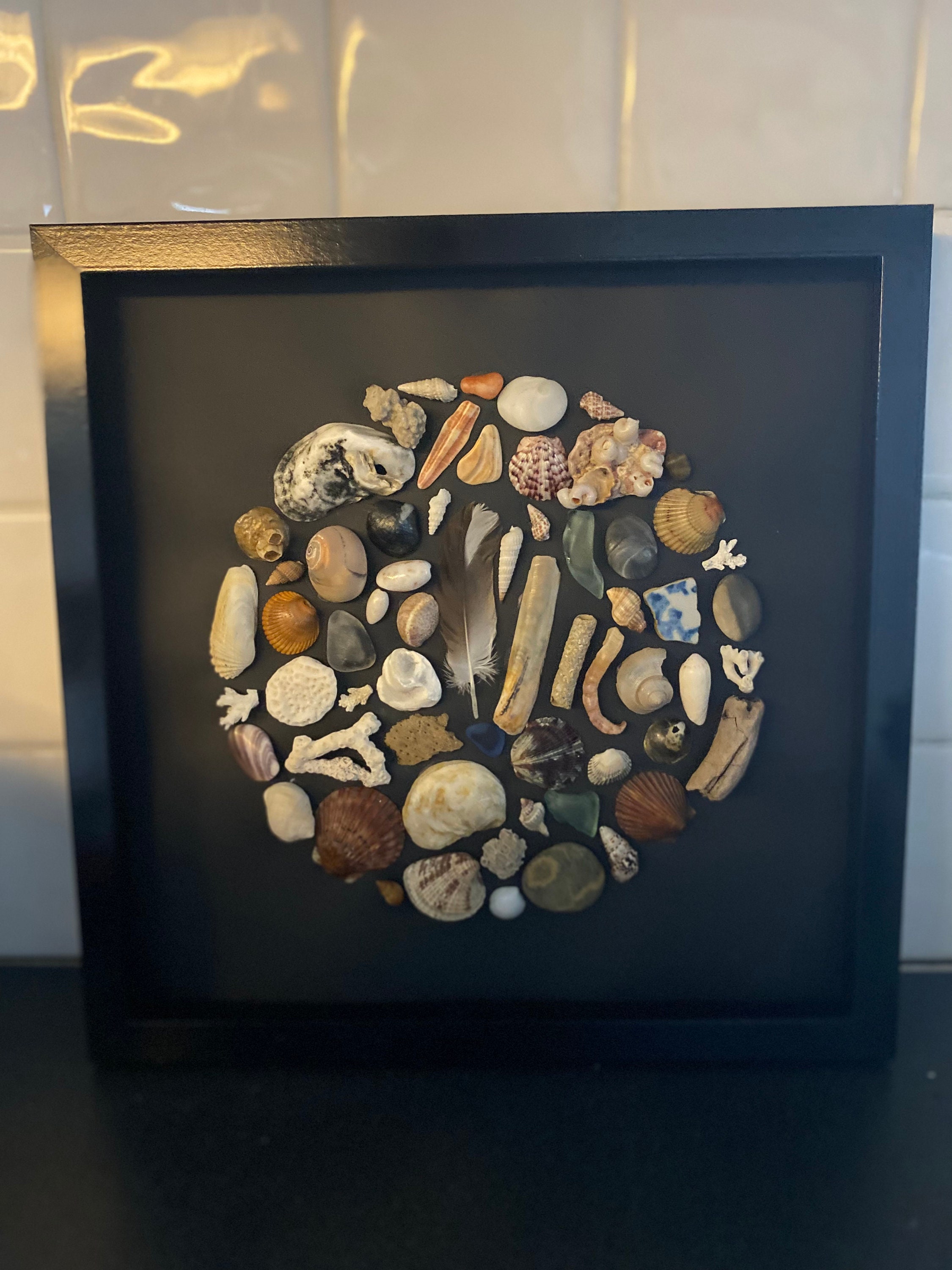 Shell Picture, Rock Pool Art - Etsy