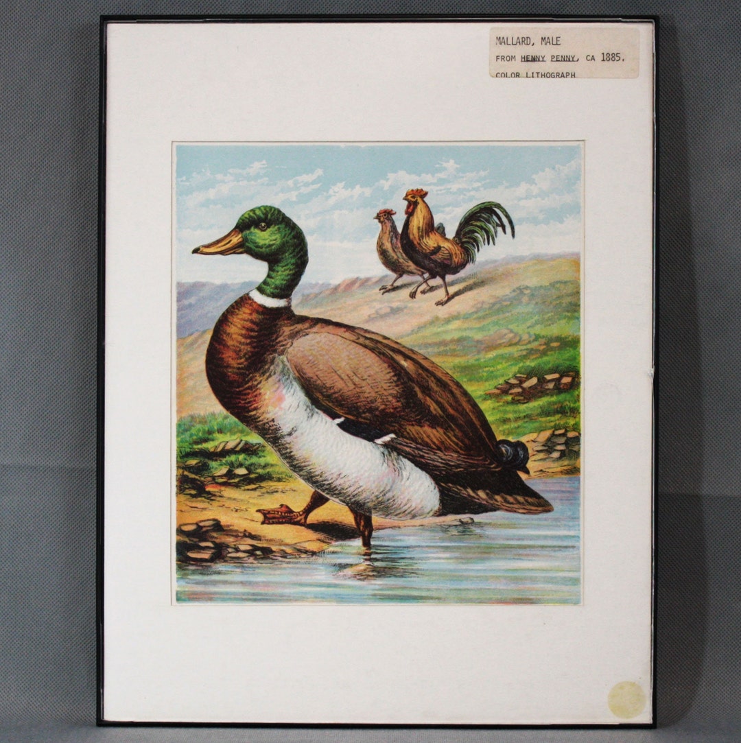 Vintage Lithographs/ Children's Lithographs/ Henny Penny Lithographs ...