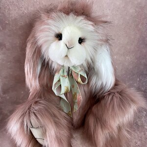 Bunny Teddy, Bunny Rabbit,teddy Bear, Teddy Bunny,bunny Bear, Bunny ...