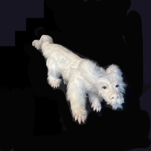 Falcor, Falkor Soft Doll, Large Falkor, Falkor From the Neverending ...