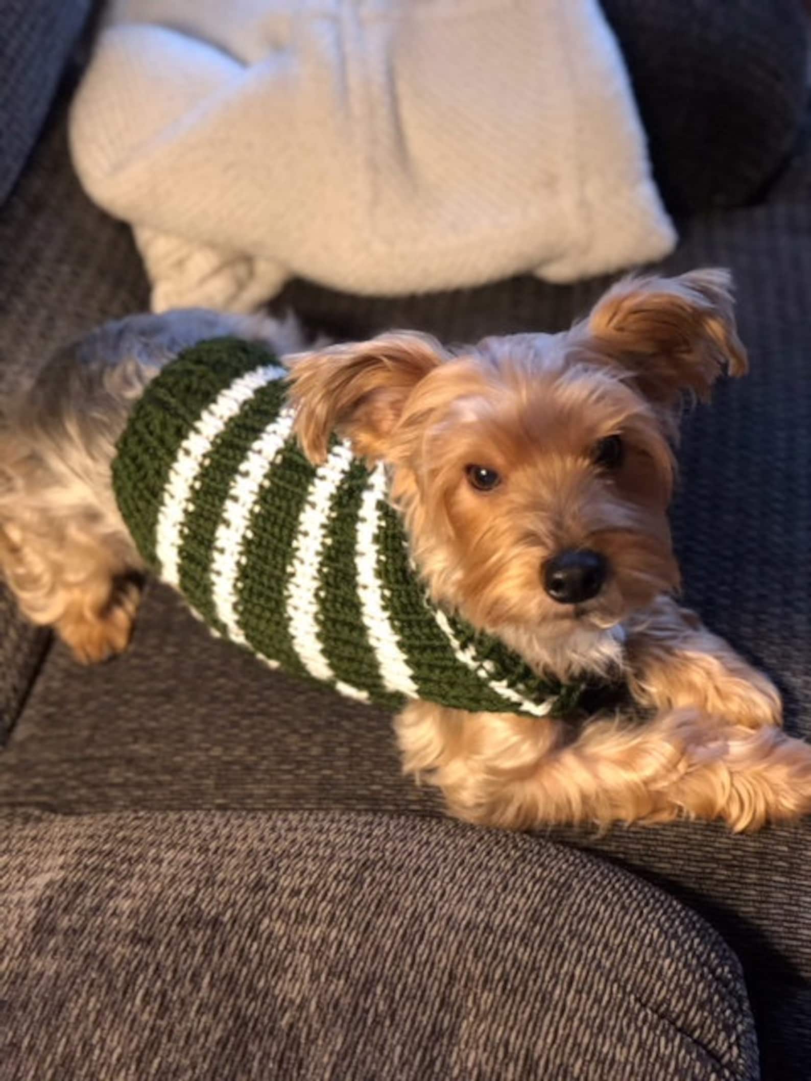 Suéter de perro suéter de cachorro de punto de mano abrigo - Etsy España