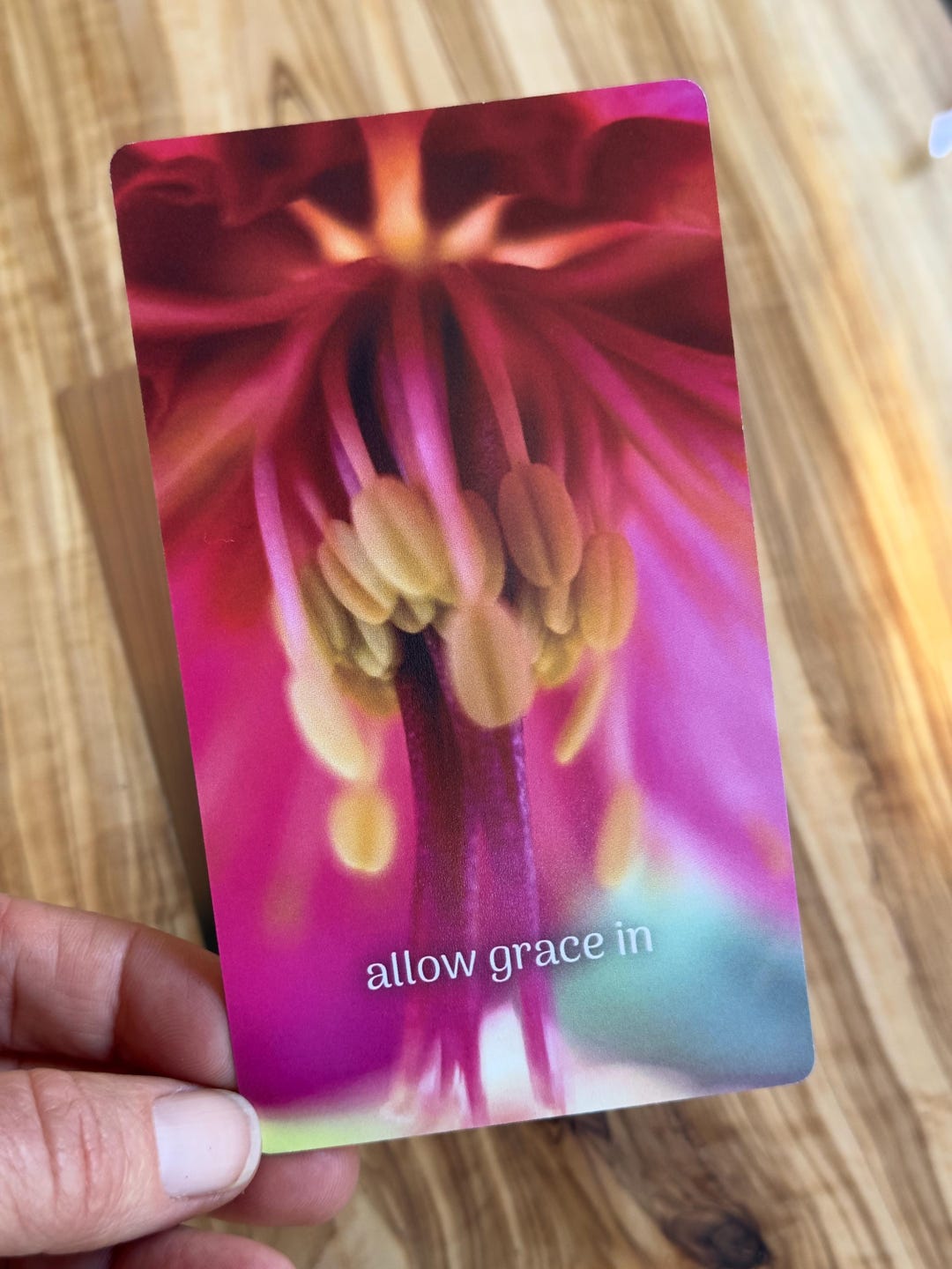 NEW Oracle Cards: Energetically Charged Botanical Vision - Etsy