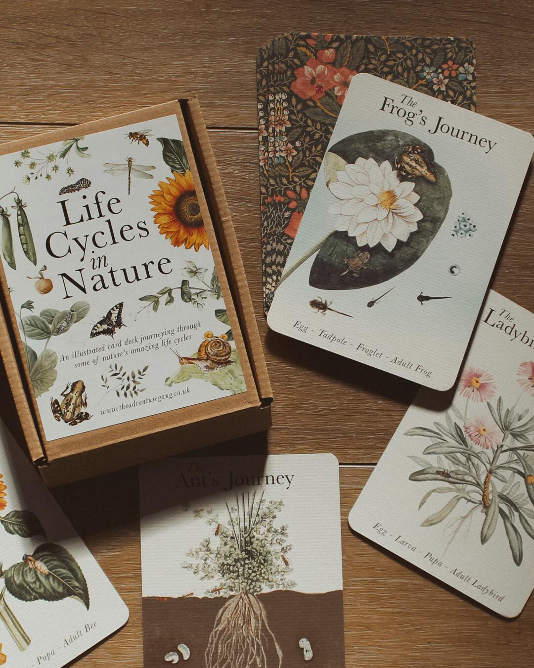 PRINTABLE Life Cycles of Nature A6 Card Pack - Etsy