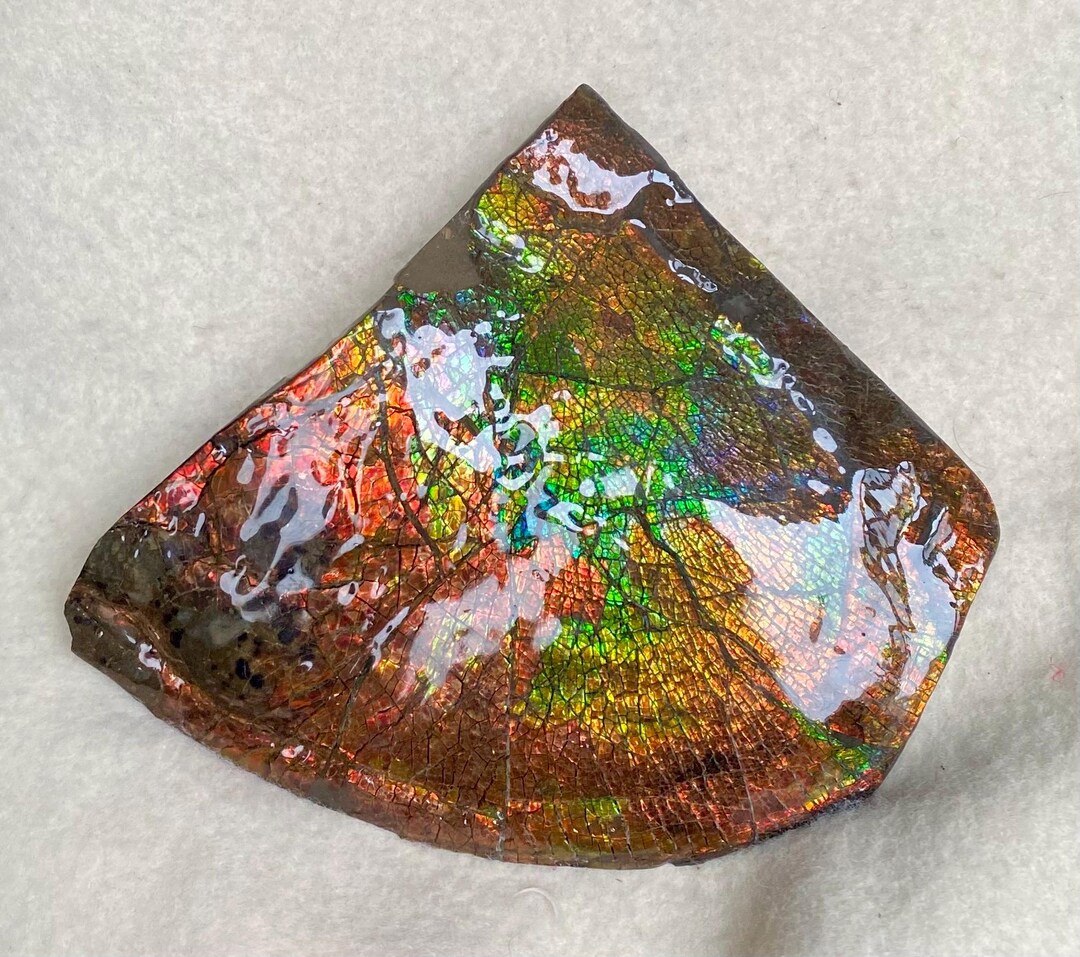Ammolite Hand Specimen - Extremely Huge Display Piece! Almost Quarter ...